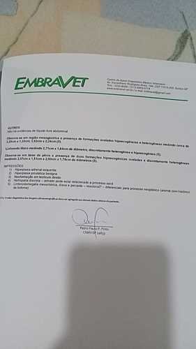 Quimioterapia para meu cãozinho | Vaquinhas online