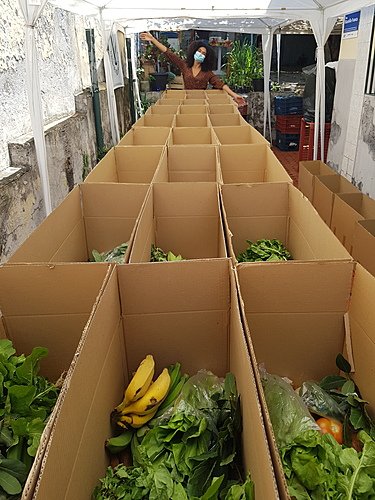 ECOZ - Cestas Solidárias Osasco | Vaquinhas online