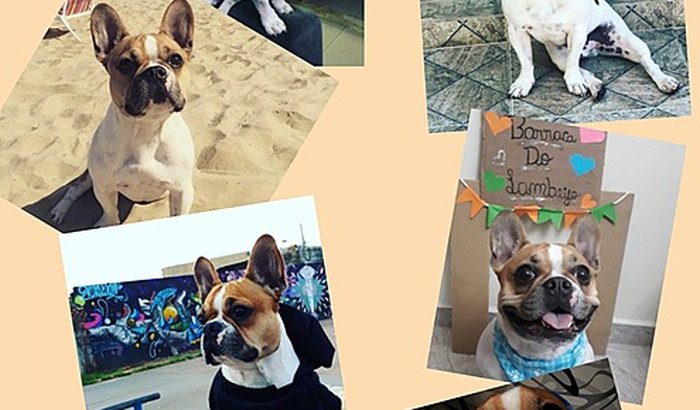 meu amigo Charlie Abreu | Vaquinhas online