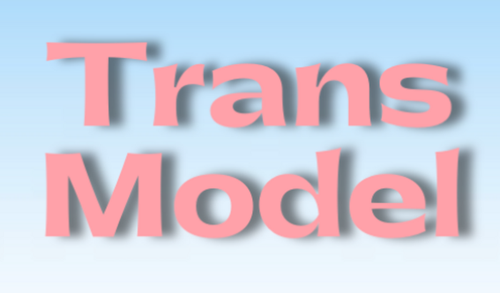 Ajude a abrir a TransModel | Vaquinhas online