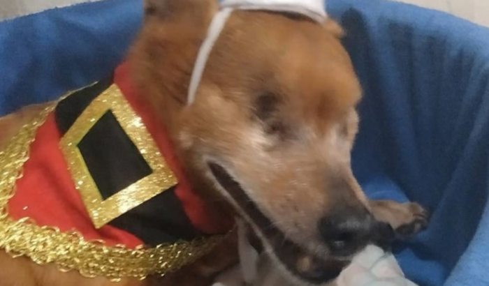 Ajudo o foguinho! | Vaquinhas online