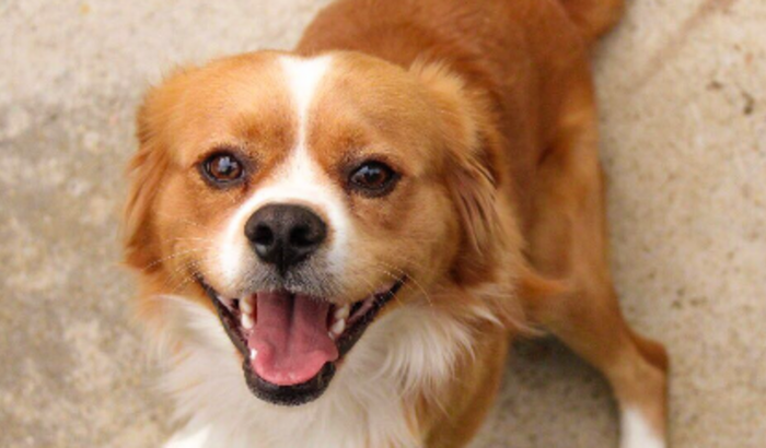 Ajude o Tyler na sua cirurgia de Hérnia de disco | Vaquinhas online