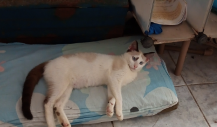 Ajuda Genival com um carro passar porte | Vaquinhas online