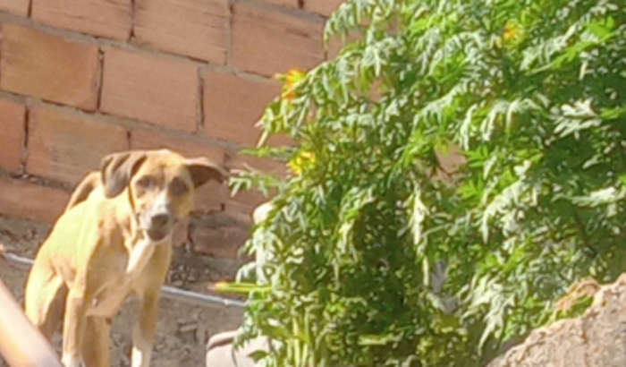 Entrada em uma casa | Vaquinhas online