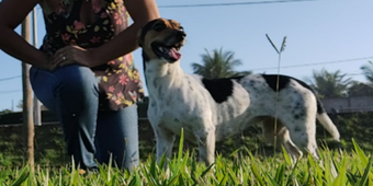 Saúde da Estelar | Vaquinhas online