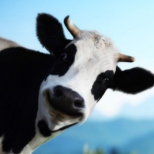 Vaquinha Demo - Vaquinhas online | Vakinha.com.br