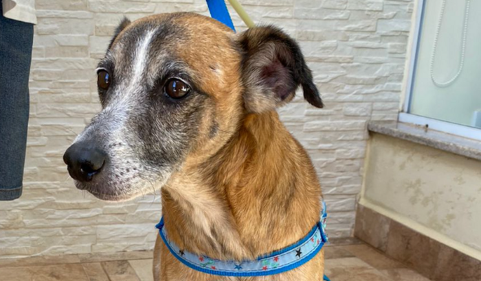 Ajude o Billy a se operar | Vaquinhas online