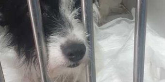 Ultrassom para Sami que está internada | Vaquinhas online