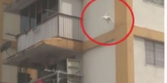 ajuda para cirurgia de gato que caiu do 6 andar | Vaquinhas online