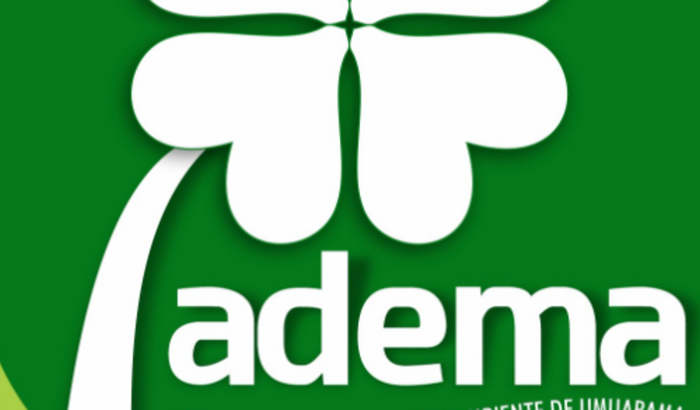 ADEMA - AJUDA VOLUNTARIA | Vaquinhas online