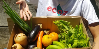 ECOZ - Cesta Solidária de Natal | Vaquinhas online