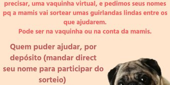 Ajude a Hanny Maria - @asmariaspugs | Vaquinhas online