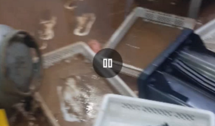 Vamos ajudar Makris - Perdeu tudo na enchente do parque guarani SP ...