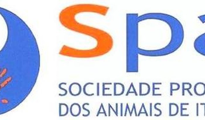 SPAI - Sociedade Protetora dos Animais de Ituiutaba | Vaquinhas online