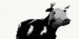 aniversário dos mamacos 2023 | Vaquinhas online