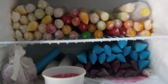 Realizar Sonho de ter uma freezer para poder vender picole e comprar um ...