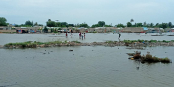 CAMPANHA PARA CHEIAS DE MAPUTO | Vaquinhas online