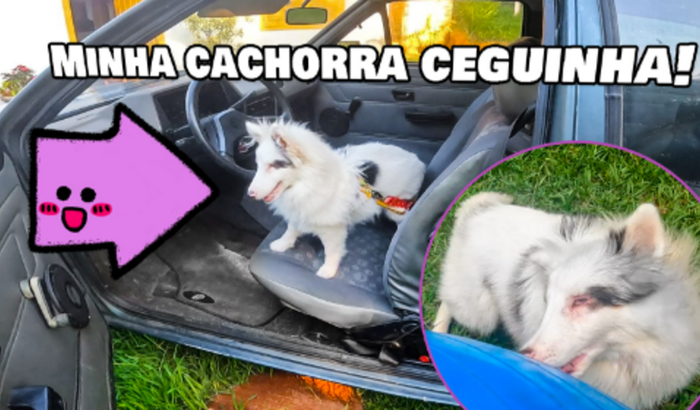 Cirurgia para a Crica | Vaquinhas online