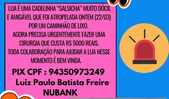 Cirugia da cadelinha Lua | Vaquinhas online