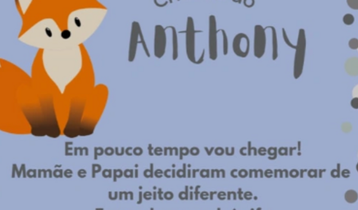Chá De Fraldas Do Anthony Vaquinhas Online