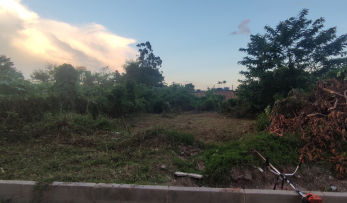 Ajuda Para A Construção Da Minha Primeira Casa Para Que Eu Consiga Dar