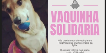 Ajuda para o Tratamento da Aylla | Vaquinhas online