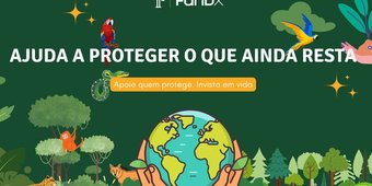 Ajude a preservar a vida: campanha da FundX EcoLife pelo meio ambiente ...