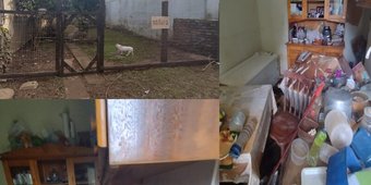 Ajude Tânia a construir no Pavimento Superior para fugir da água ...