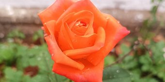 Rumo ao diploma em Dezembro | Vaquinhas online