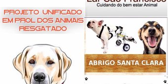 PUPAR - Projeto Unificado em Prol dos Animais Resgatados | Vaquinhas online