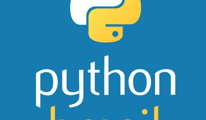 Ajude O Regis A Ir Para A Python Brasil Vaquinhas Online 