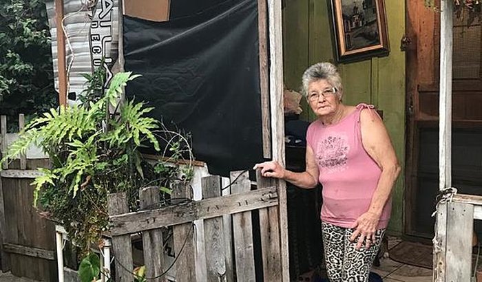 Ajude a dona Rose e seus animais! | Vaquinhas online